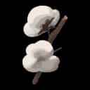 Palia Garden Planner